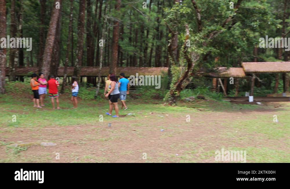 Long distance migration Stock Videos & Footage - HD and 4K Video Clips ...