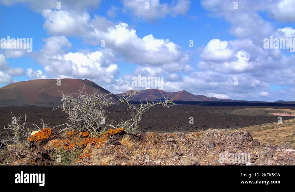Dead living wall Stock Videos & Footage - HD and 4K Video Clips - Alamy