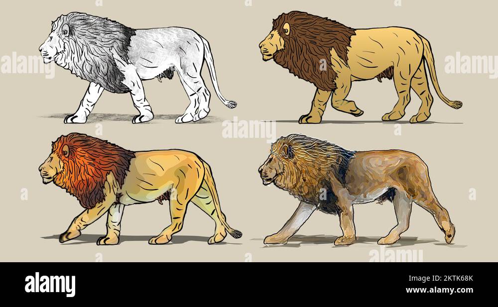 Cartoon lion Stock Videos & Footage - HD and 4K Video Clips - Alamy