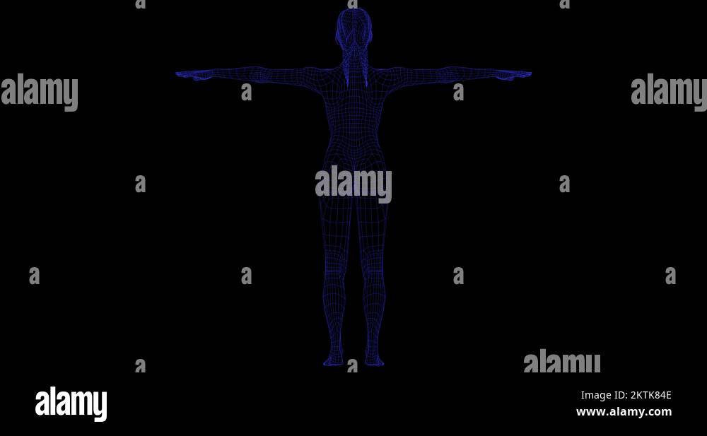 Body representation Stock Videos & Footage - HD and 4K Video Clips - Alamy