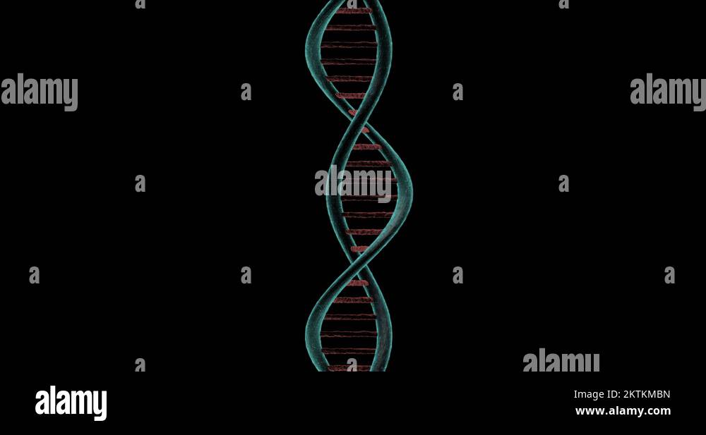 Nucleotides dna cell Stock Videos & Footage - HD and 4K Video Clips - Alamy