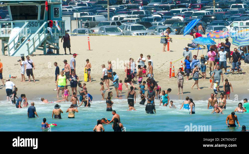 People swim in the Pacific Ocean in Santa Monica Beach, Los Angeles,4K ...