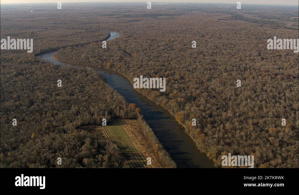 Congaree river Stock Videos & Footage - HD and 4K Video Clips - Alamy