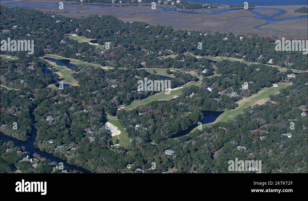 Turtle point Stock Videos & Footage - HD and 4K Video Clips - Alamy