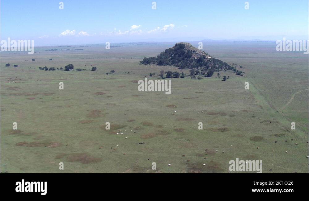Veldt landscape Stock Videos & Footage - HD and 4K Video Clips - Alamy