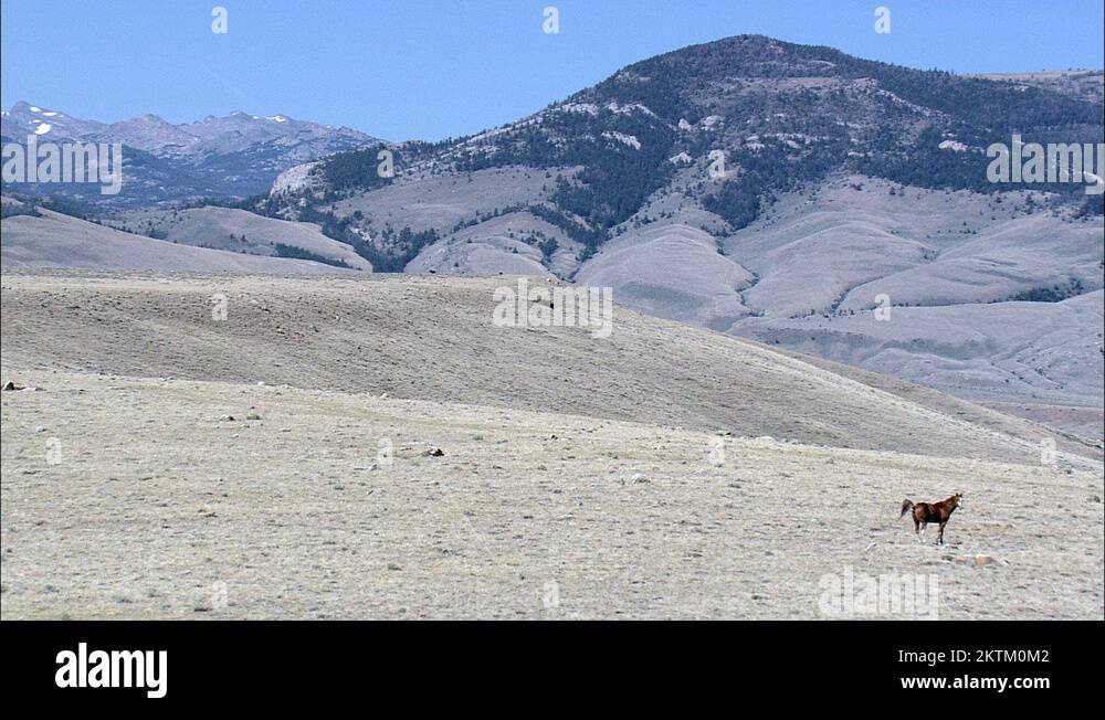 Mustang landscape Stock Videos & Footage - HD and 4K Video Clips - Alamy