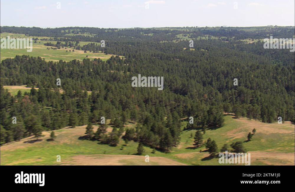 Nebraska national forest Stock Videos & Footage - HD and 4K Video Clips ...