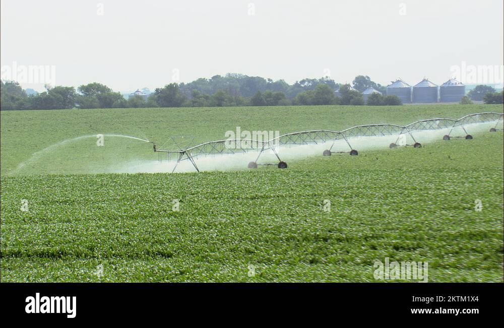 Watering the crops Stock Videos & Footage - HD and 4K Video Clips - Alamy