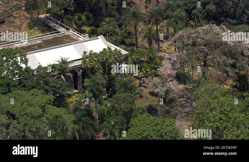 Burle marx brazil Stock Videos & Footage - HD and 4K Video Clips - Alamy