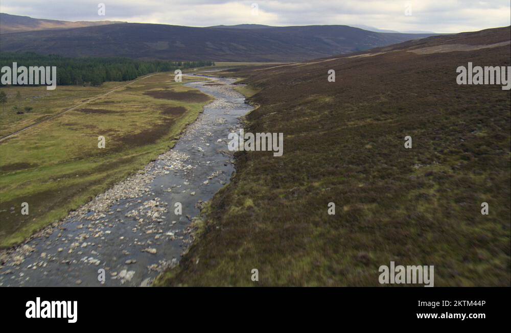 Dee Stock Videos & Footage - HD and 4K Video Clips - Alamy