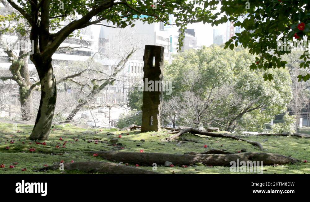 Backdrop castle Stock Videos & Footage - HD and 4K Video Clips - Alamy