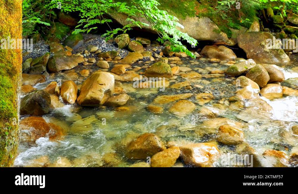 4K Crystal Clear River Water, Outdoor Natural Stream, Fresh Park ...