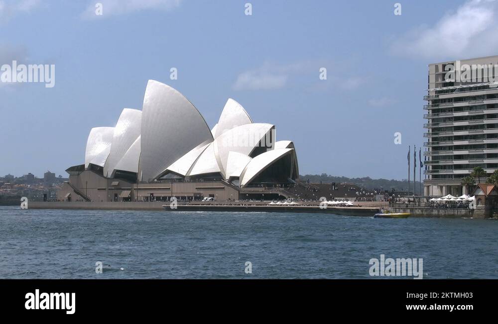 Australia Sydney opera house and many sea gulls with ferry pan Stock ...