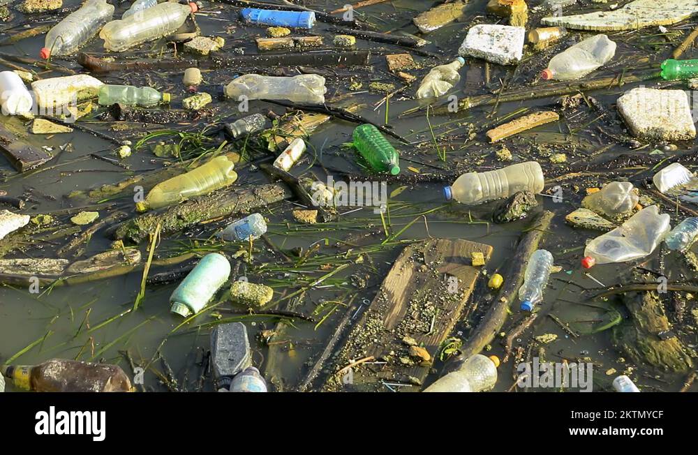 Trash floating on the surface of the water. Pollution in the river ...