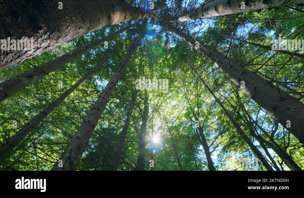 Shimmer gleaming Stock Videos & Footage - HD and 4K Video Clips - Alamy