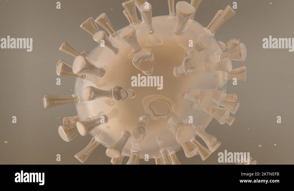 Immunity cells Stock Videos & Footage - HD and 4K Video Clips - Alamy