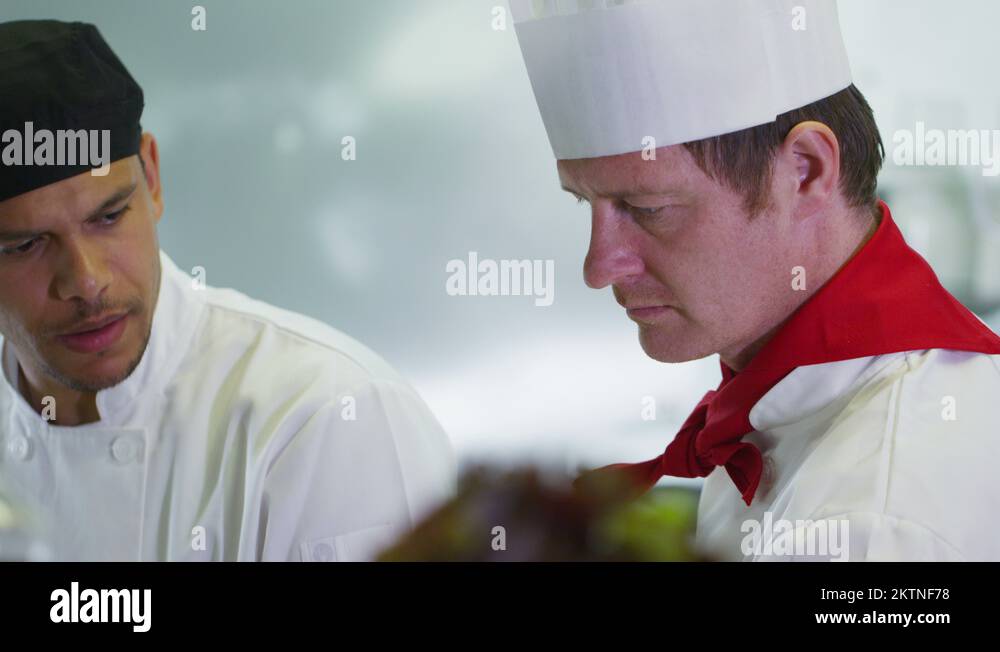 4K Team of professional chefs preparing food in a hotel or restaurant ...