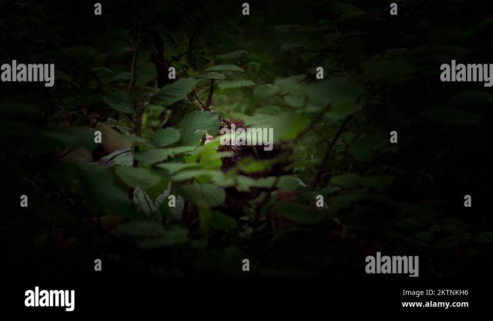 Animated corpse Stock Videos & Footage - HD and 4K Video Clips - Alamy