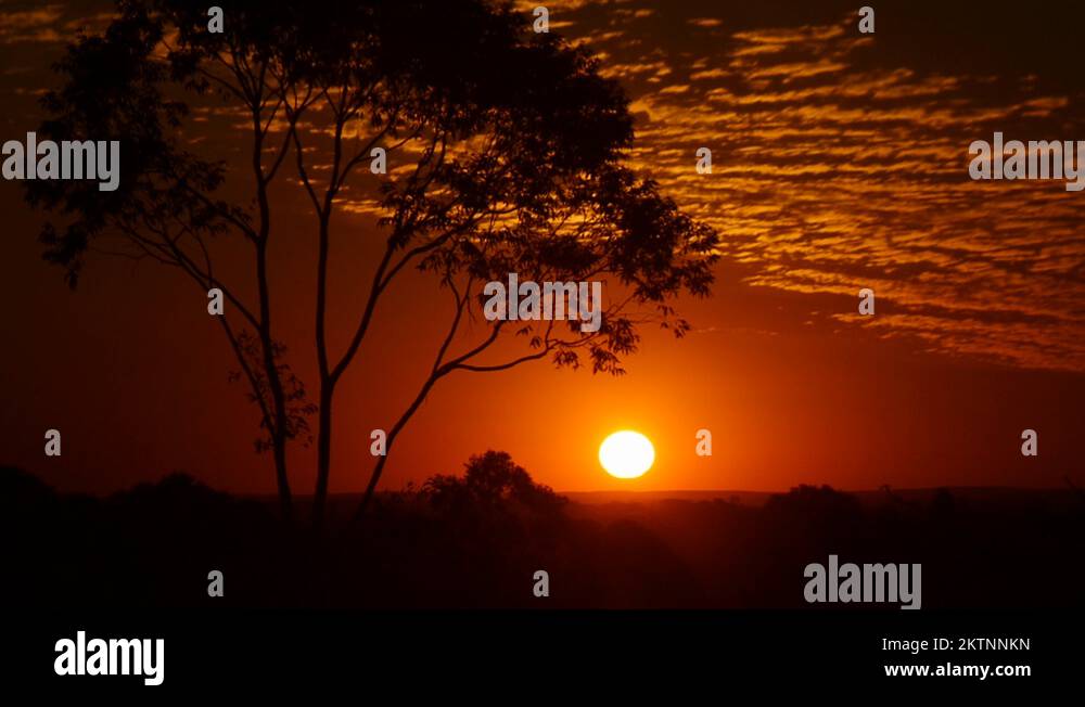 African sunrise sunset Stock Videos & Footage - HD and 4K Video Clips ...