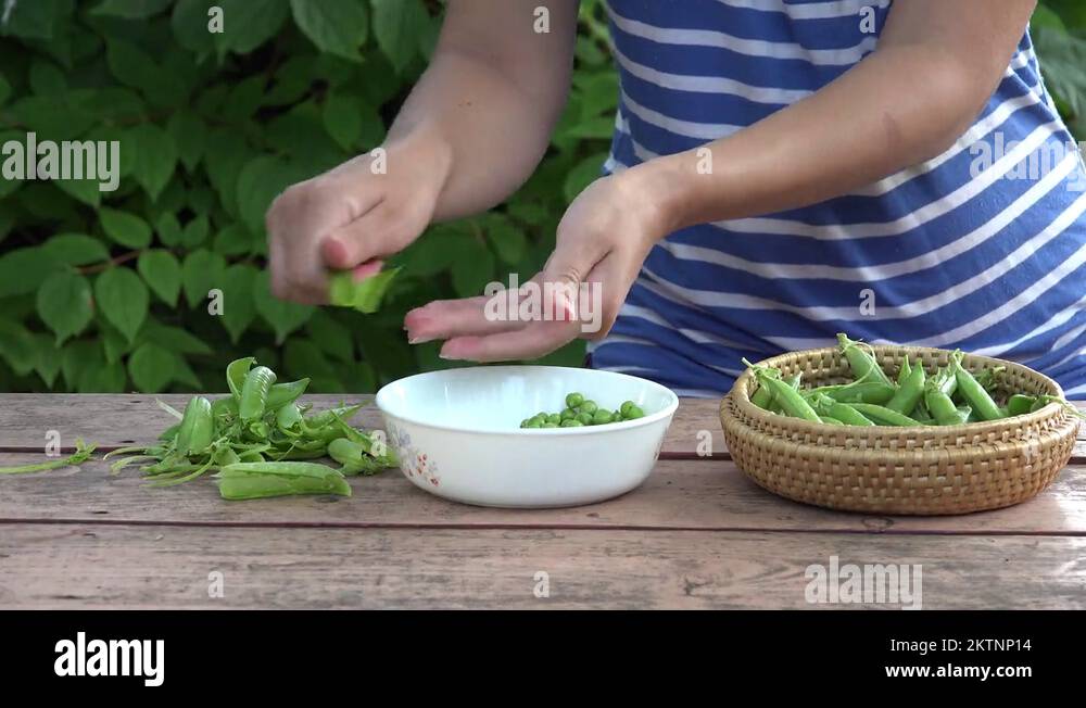 Shell peas Stock Videos & Footage - HD and 4K Video Clips - Alamy