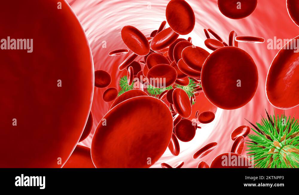 Generic science experiment Stock Videos & Footage - HD and 4K Video ...