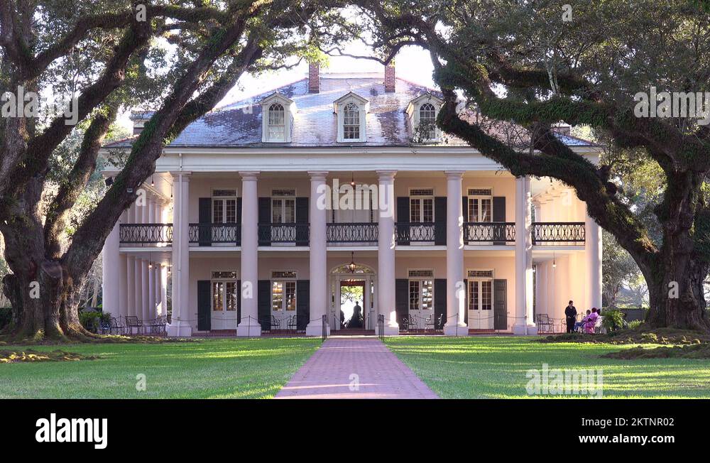 Oak trees by the mansion Stock Videos & Footage - HD and 4K Video Clips ...