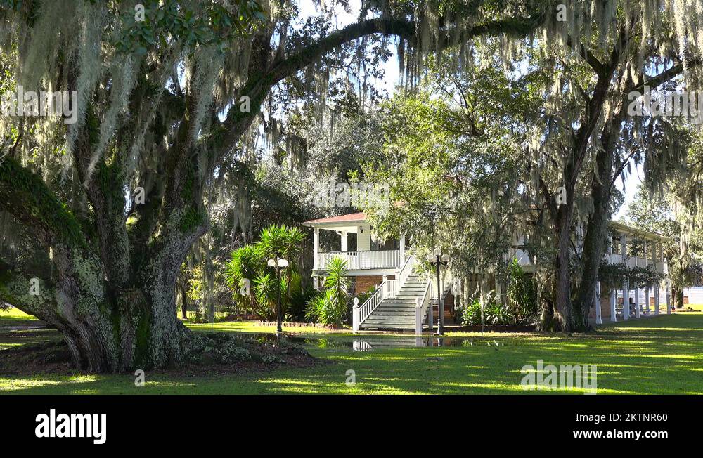 Willow houses Stock Videos & Footage - HD and 4K Video Clips - Alamy