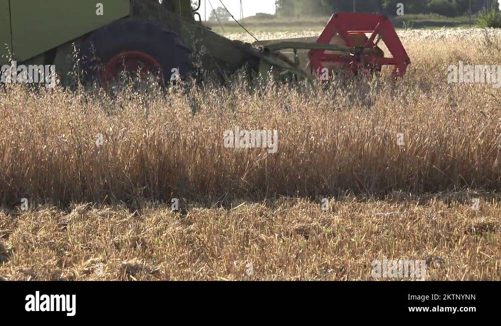 Oats cereal bar Stock Videos & Footage - HD and 4K Video Clips - Alamy
