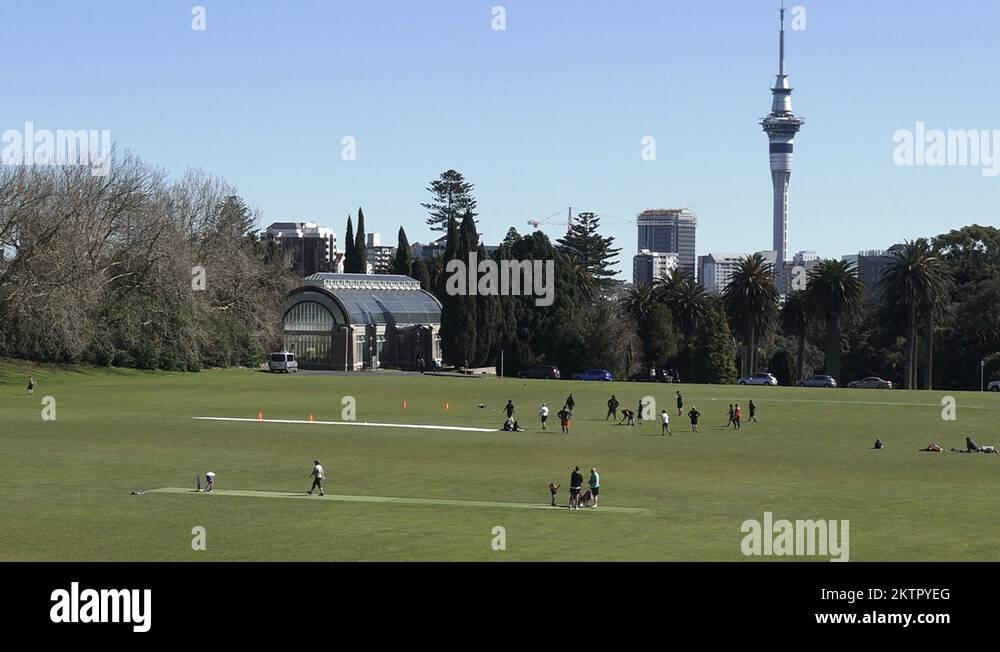 Auckland domain Stock Videos & Footage - HD and 4K Video Clips - Alamy