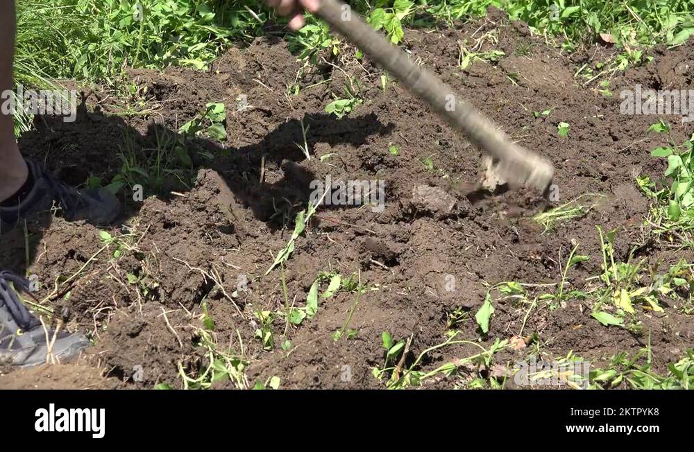 Farmer on Farmland Using Digging Tool Working Out the Land for Eco ...