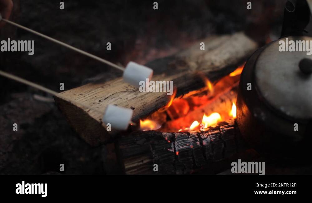 Ready for fire Stock Videos & Footage - HD and 4K Video Clips - Alamy