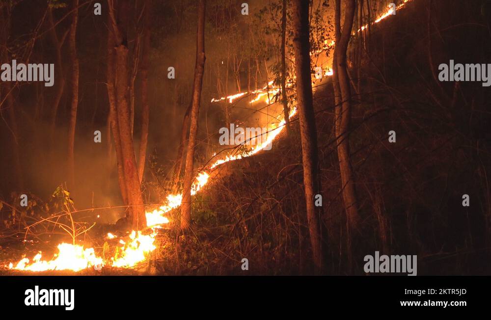 Line of fire night Stock Videos & Footage - HD and 4K Video Clips - Alamy
