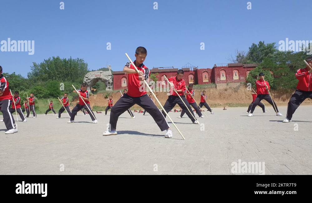 Kung fu sticks Stock Videos & Footage - HD and 4K Video Clips - Alamy