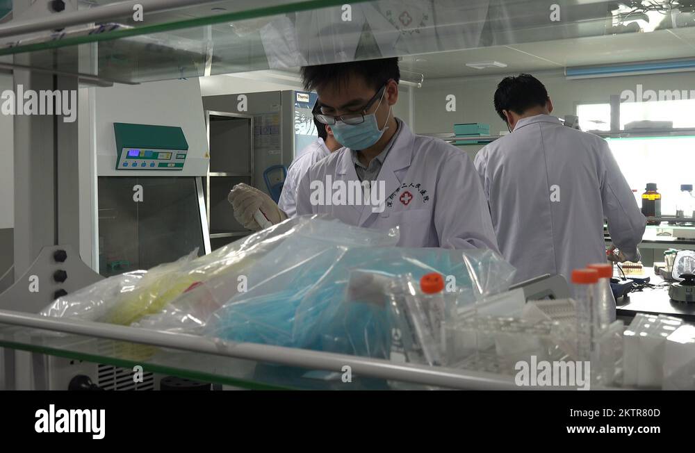 Phd student laboratory Stock Videos & Footage - HD and 4K Video Clips ...