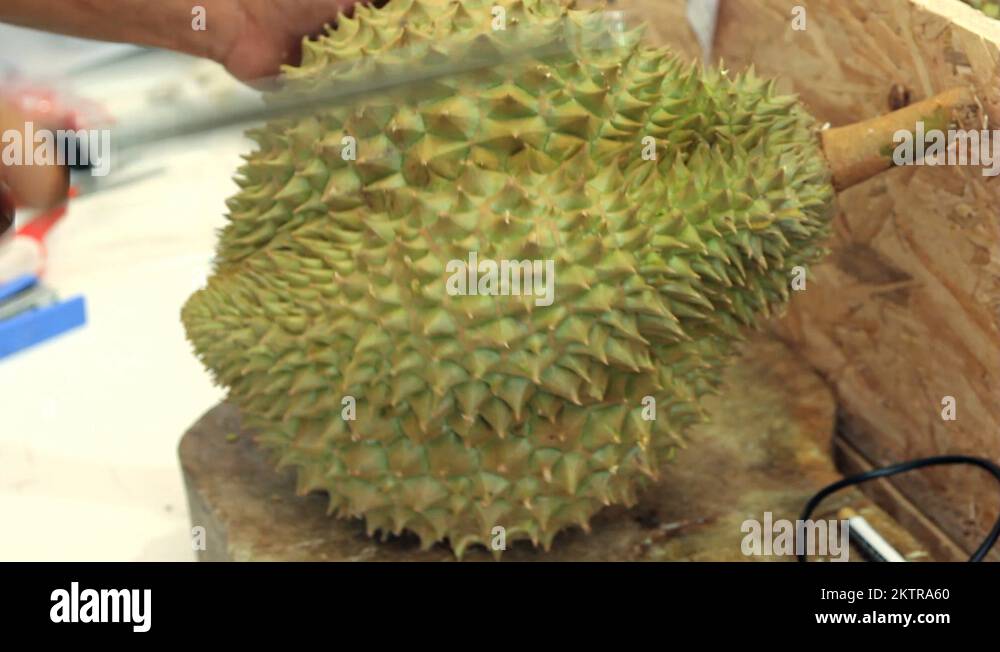 Cutting durian Stock Videos & Footage - HD and 4K Video Clips - Alamy