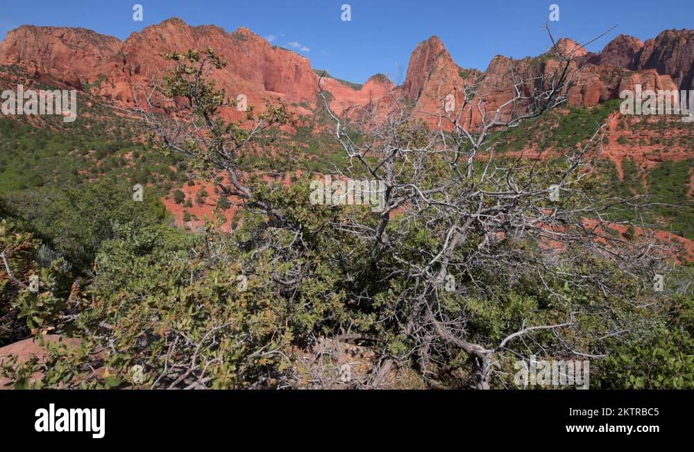 Kolob zion national park Stock Videos & Footage - HD and 4K Video Clips ...