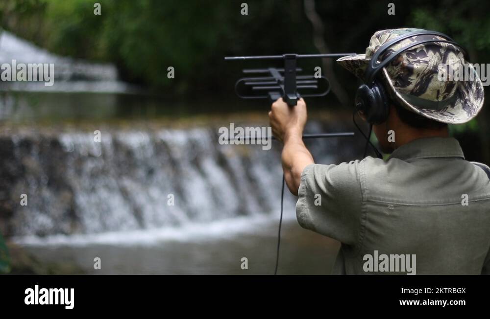 Biologist bird Stock Videos & Footage - HD and 4K Video Clips - Alamy