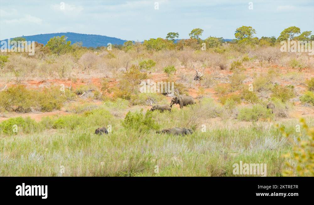 South african hills Stock Videos & Footage - HD and 4K Video Clips - Alamy