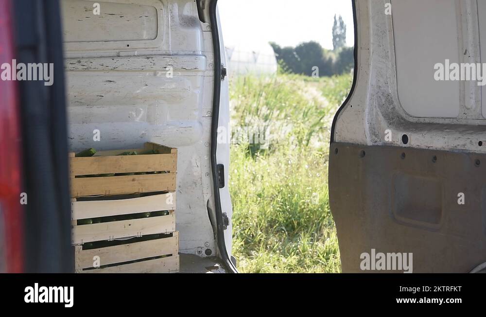 Loading vegetables Stock Videos & Footage - HD and 4K Video Clips - Alamy