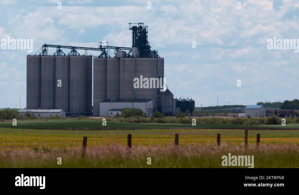 Agricultural produce harvest storage facility warehouse Stock Videos ...