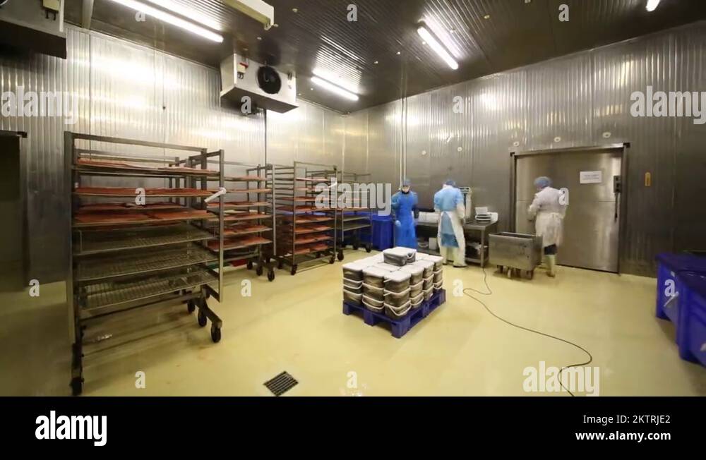 Fish packing plant Stock Videos & Footage - HD and 4K Video Clips - Alamy