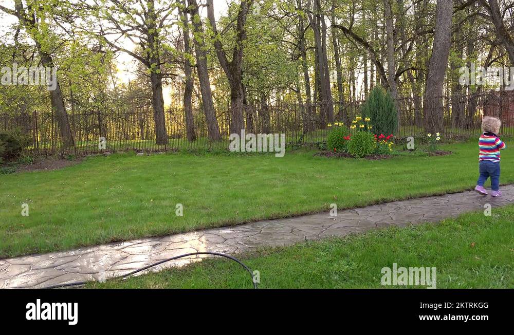 Path after rain Stock Videos & Footage - HD and 4K Video Clips - Alamy