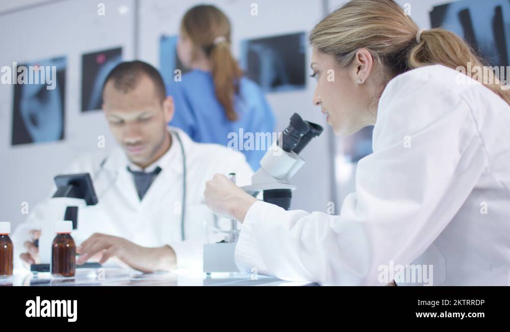 4K Medical research team working together, analyzing scans ...