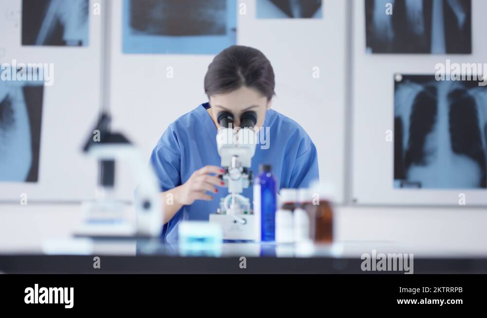 Beautiful lab portrait Stock Videos & Footage - HD and 4K Video Clips ...