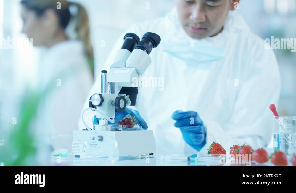 4K Food science researchers working in lab, man injecting chemicals ...