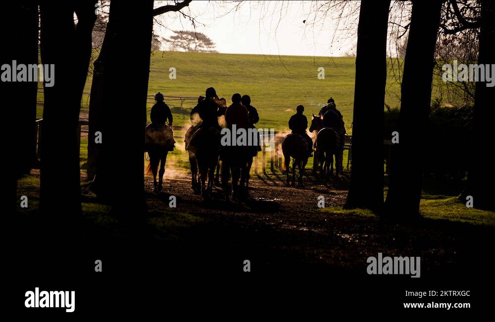 Horse string Stock Videos & Footage - HD and 4K Video Clips - Alamy