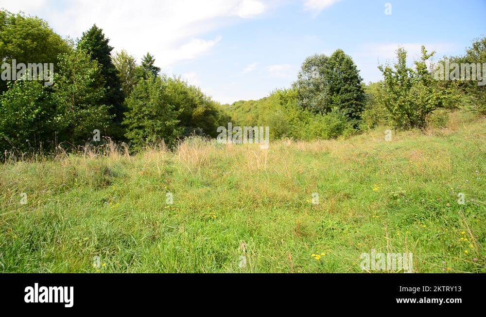 August in nature Stock Videos & Footage - HD and 4K Video Clips - Alamy