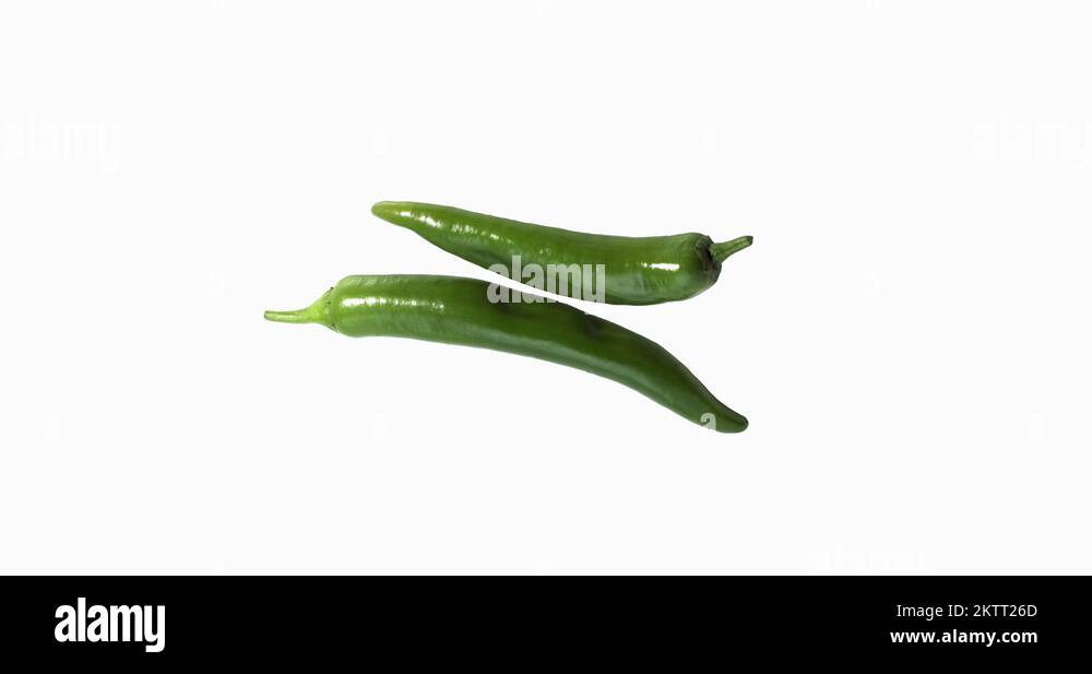 Green Chili Pepper, capsicum annuum against White Background, Real Time ...