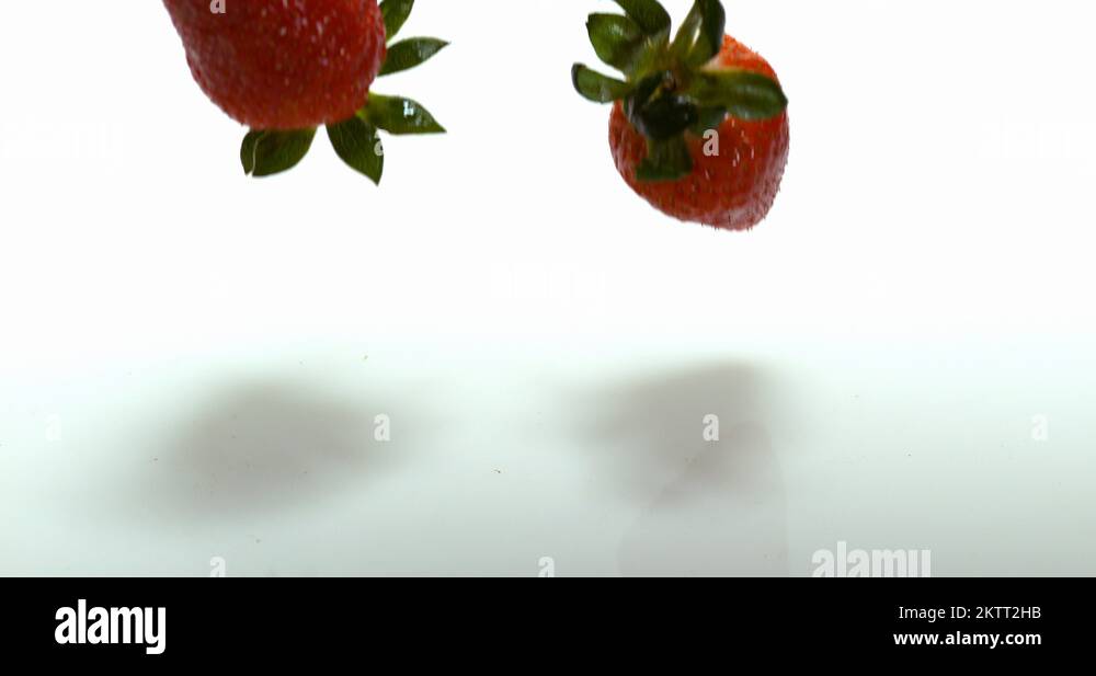 Strawberries, fragaria vesca, Falling on Water, Slow Motion 4K Stock ...