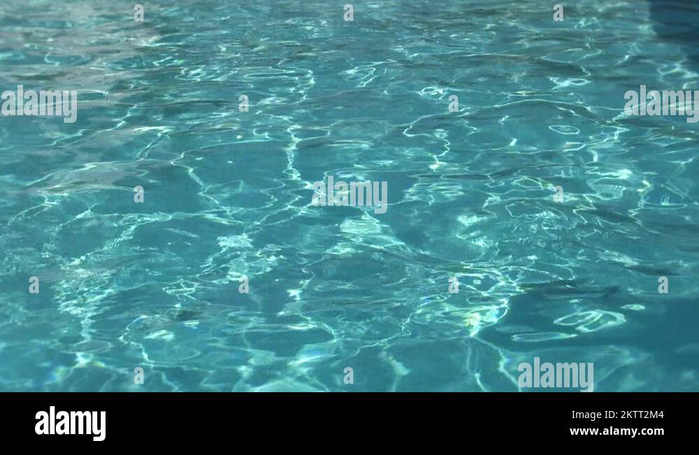 Man diving in pool Stock Videos & Footage - HD and 4K Video Clips - Alamy